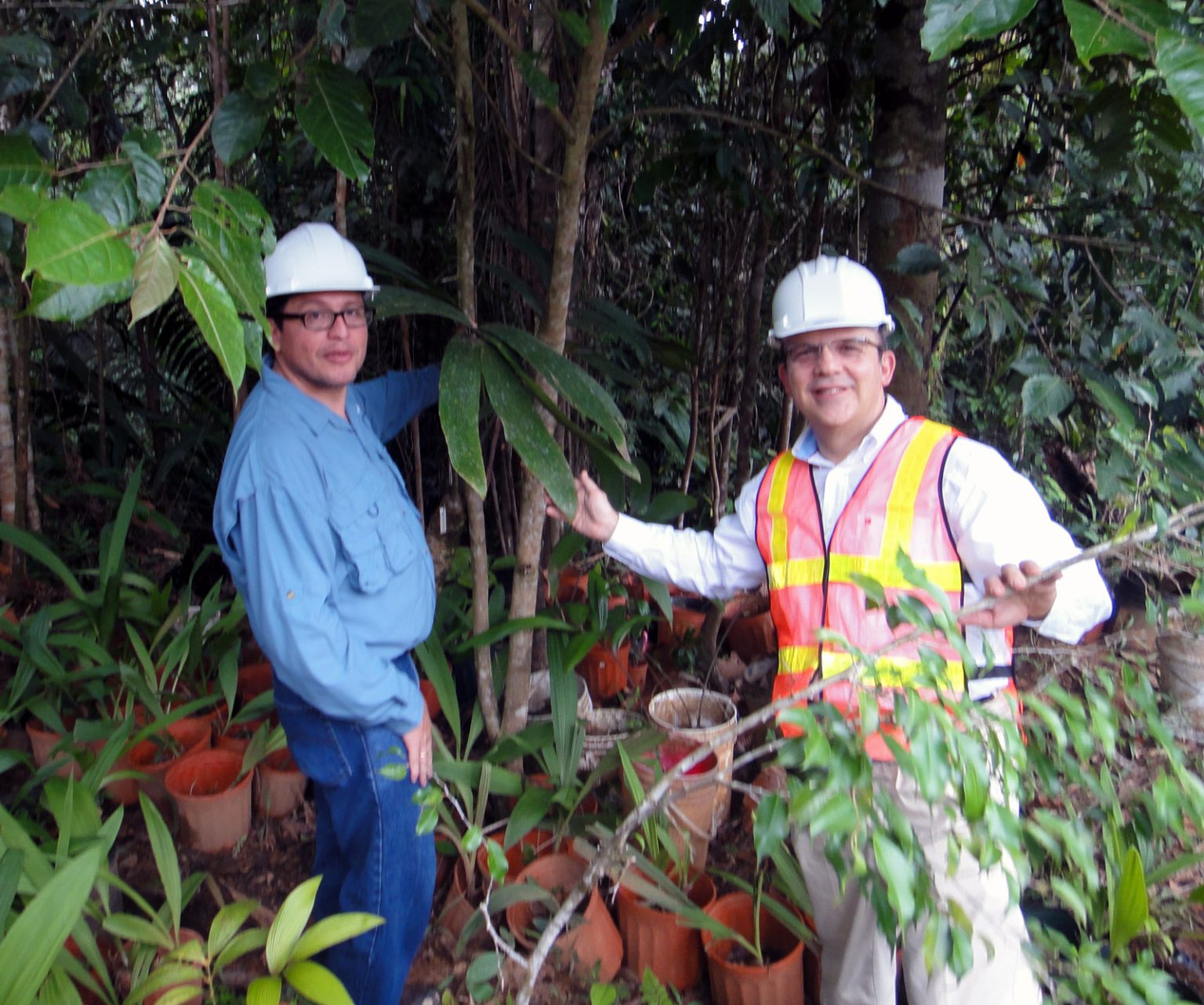 Inmet Mining - Dr. Argüden